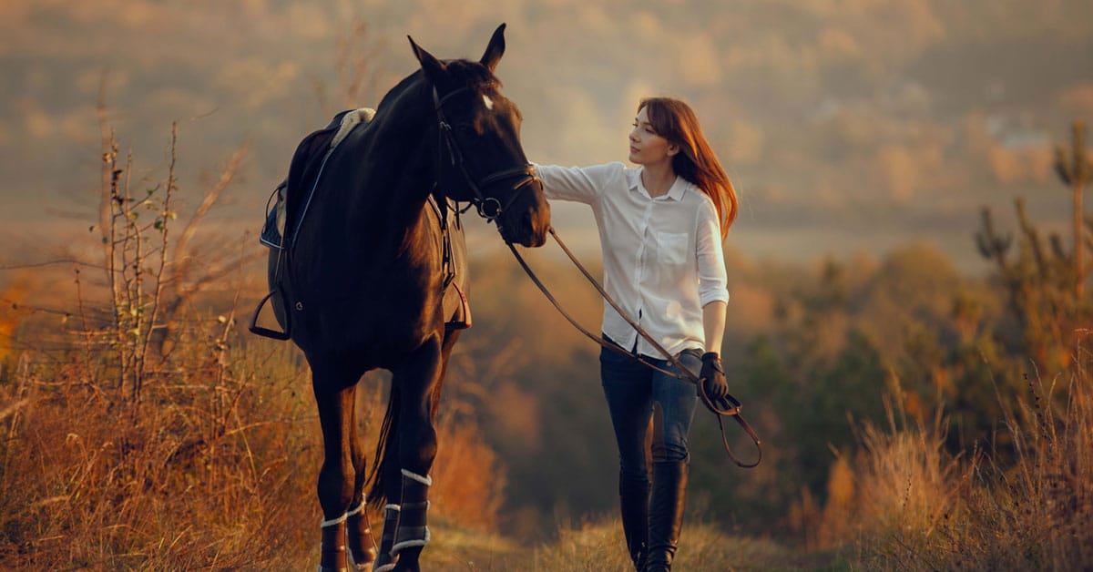 Hvad er en vallak? Læs om om vallak her!