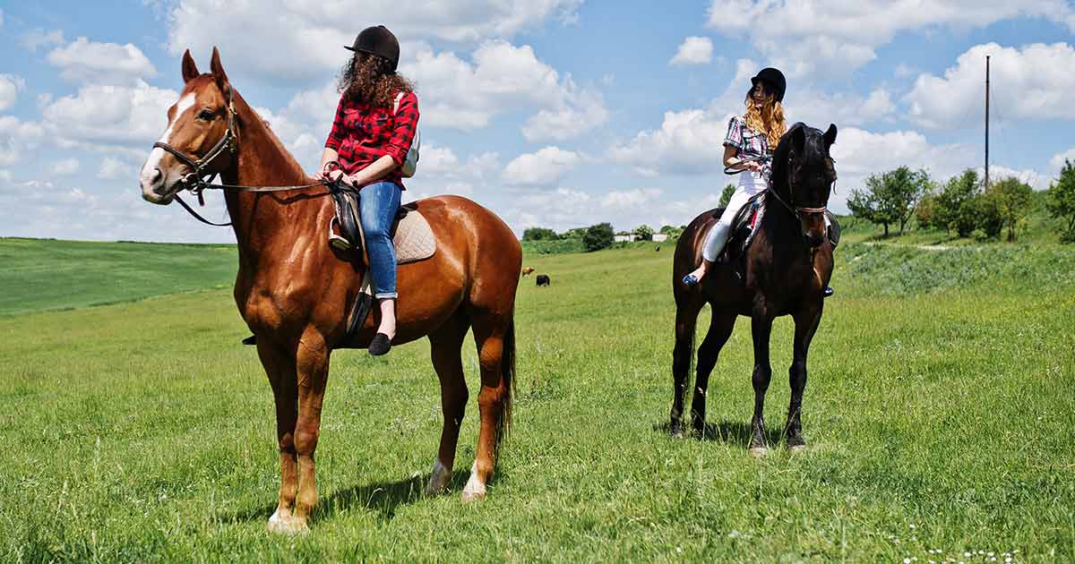 Ridning for begyndere: Tips til sikker og effektiv ridning
