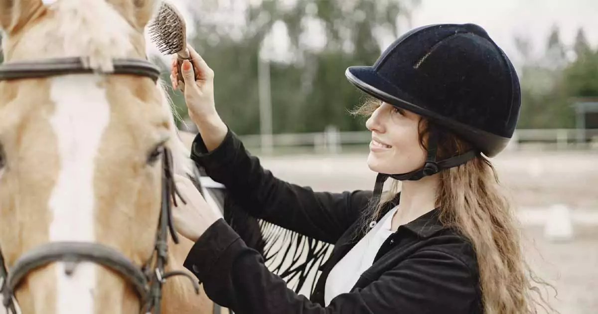 Strigling af hest: Komplet guide til korrekt pelspleje